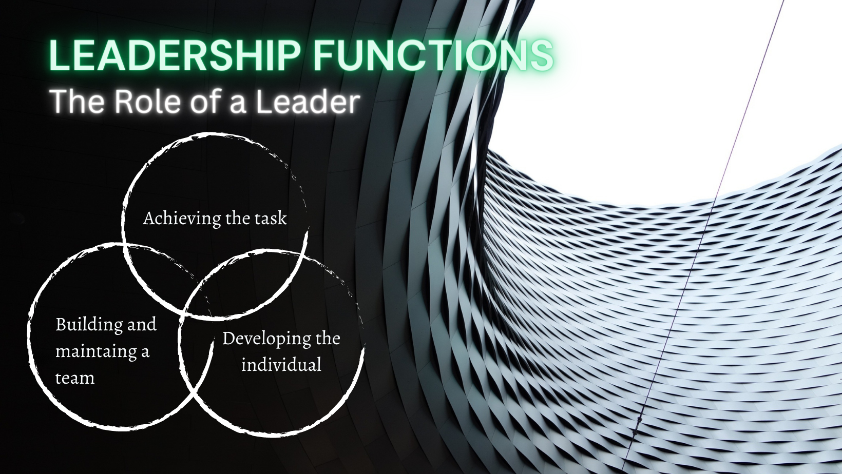 Promote Functional Leadership - Impact Speaking Dynamics
